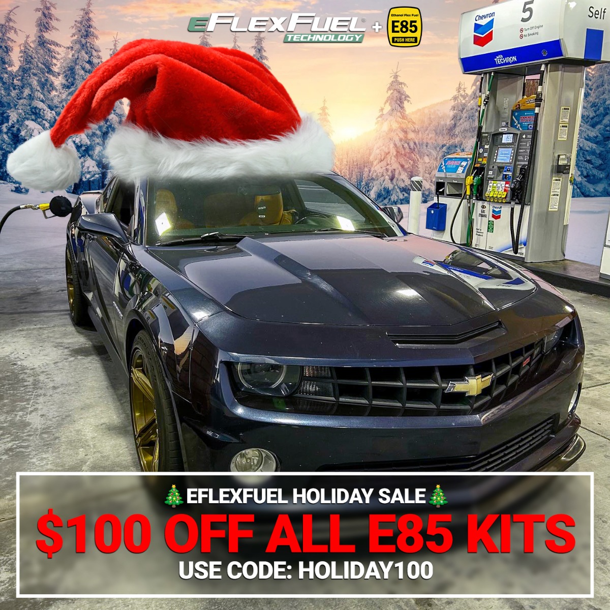 eFlexFuel E85 flex fuel conversion kit installation